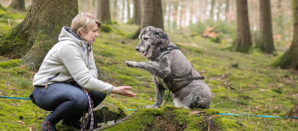 Anders mit Hund | Anne Bucher