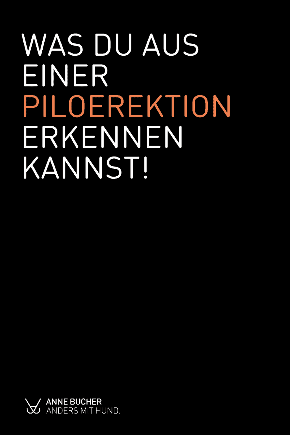 Die Piloerektion beim Hund | Anne Bucher
