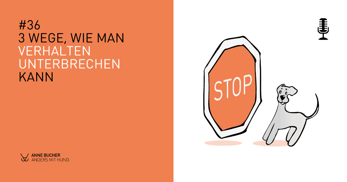 #36 3 Wege, wie man Verhalten unterbrechen kann | Anne Bucher