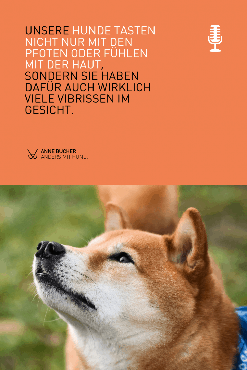 #48 Die Welt aus der Sicht deines Hundes | Anne Bucher